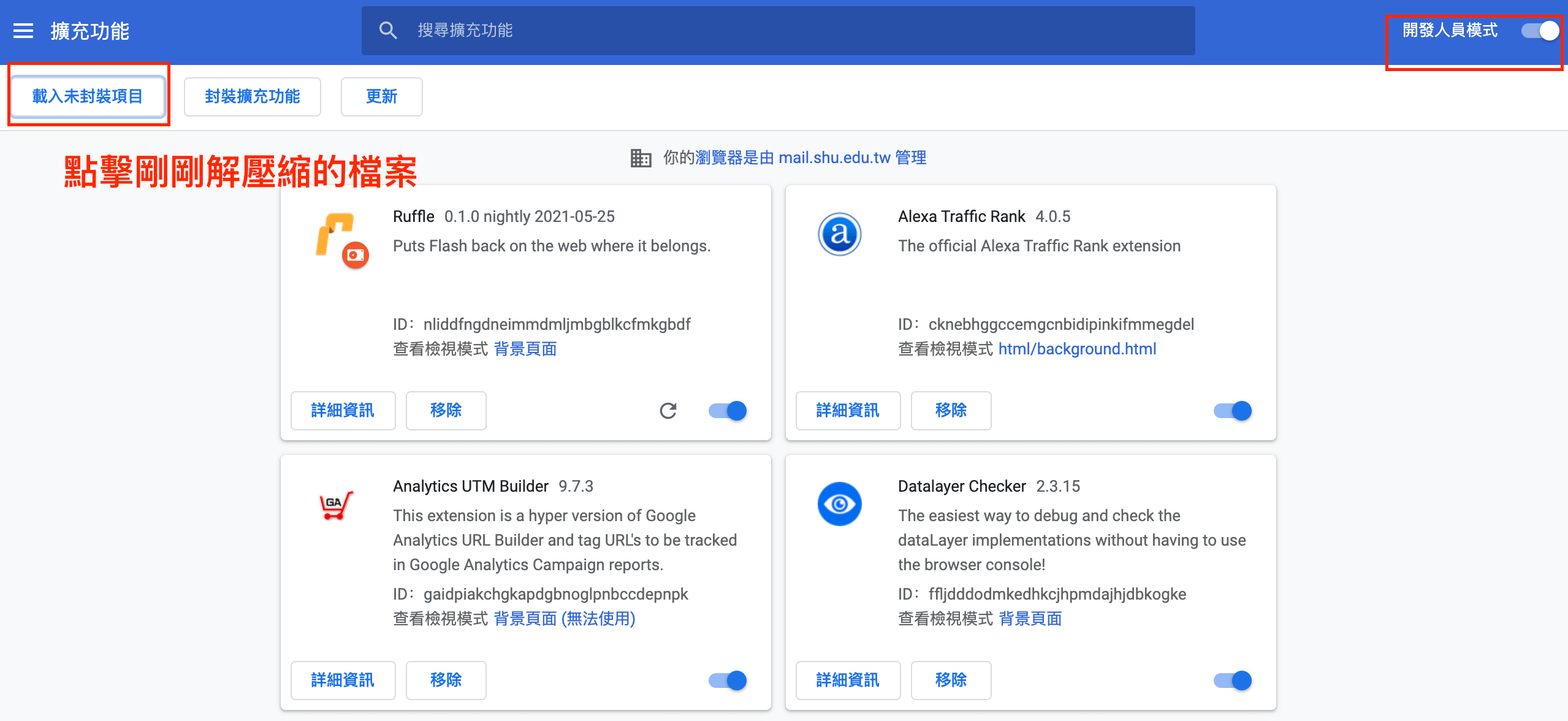Ruffle 免費的 Flash Player 替代軟體，讓你的瀏覽器繼續支援Flash檔！